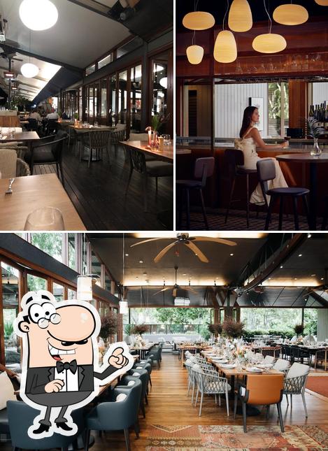 Forest Byron Bay in Byron Bay - Restaurant menu and reviews