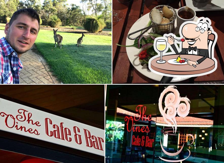 Vines Cafe and Bar, The Vines - Restaurant menu, prices and reviews