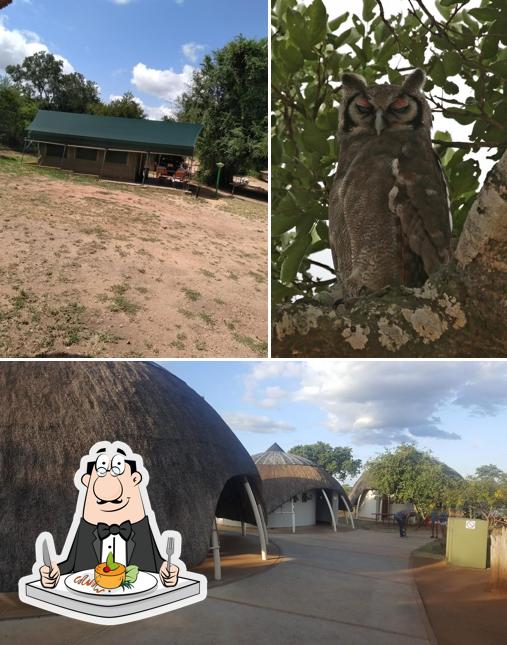 Top 5 places to eat in Skukuza, december 2025 - Restaurant Guru