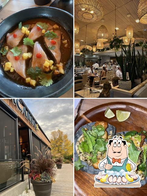 Macanda, Wayzata - Restaurant menu, prices and reviews