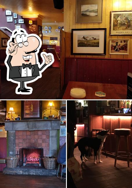 The Jeggy Nettle Pub, Belfast - Restaurant menu, prices and reviews