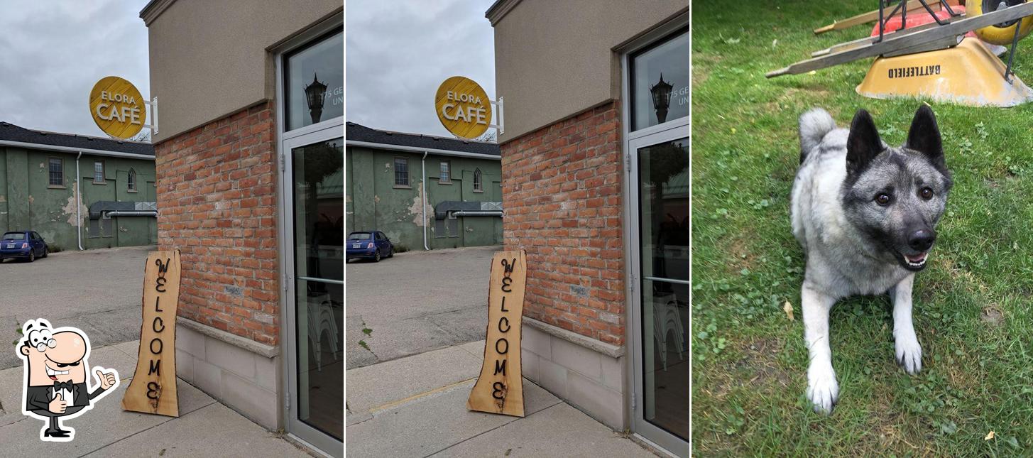 The Elora Café, Elora - Restaurant menu, prices and reviews