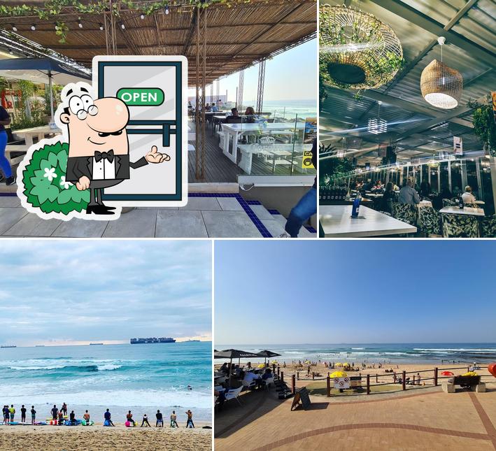 Bellézar Umhlanga - Beach Cafe & Bar, Umhlanga - Restaurant reviews