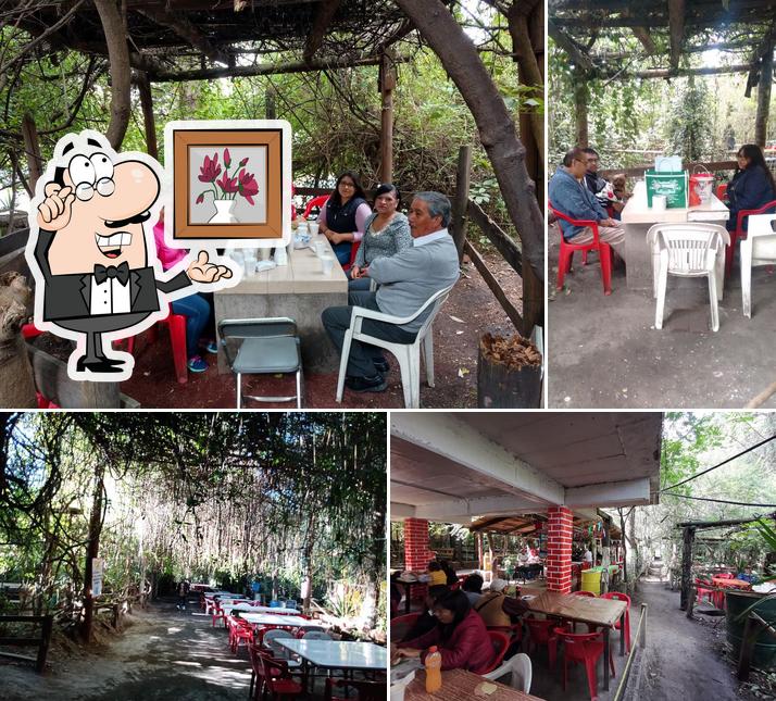 El Pica I restaurant, La Purificación - Restaurant reviews