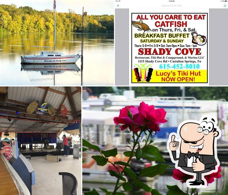 Shady Cove Resort, Marina & Campground LLC in Castalian Springs ...