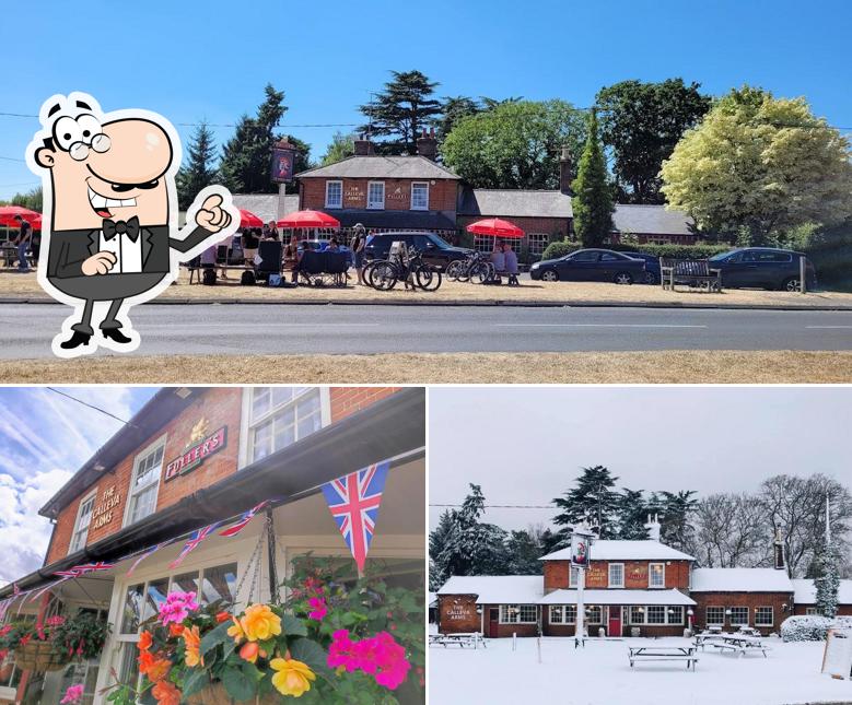 The Calleva Arms in Tadley - Restaurant menu and reviews