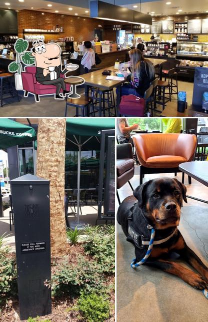 Starbucks, 11441 San Jose Blvd in Jacksonville - Restaurant menu and ...