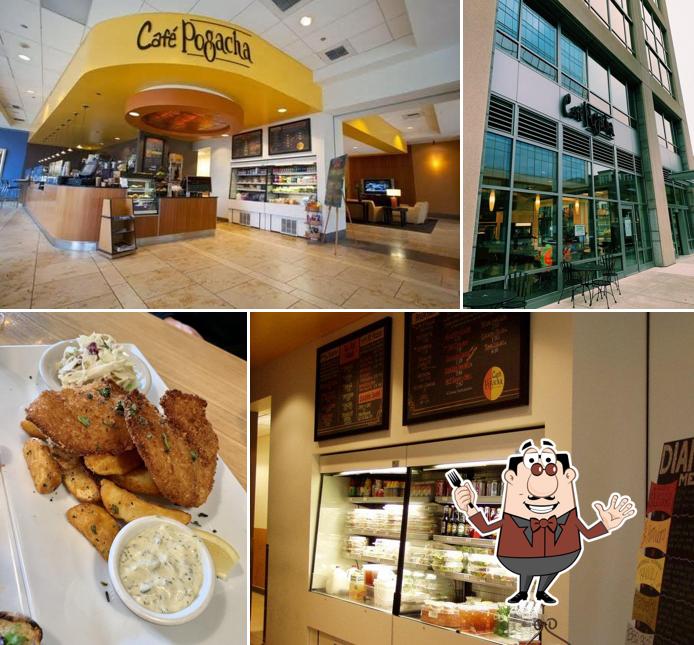 Café Pogacha, 10885 Northeast 4th Street 110 Lobby Summit 2 Bldg in ...