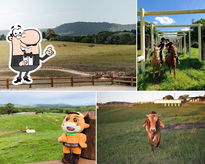 KUR-Cow Barnwell Farm, Kuranda - Restaurant menu, prices and reviews