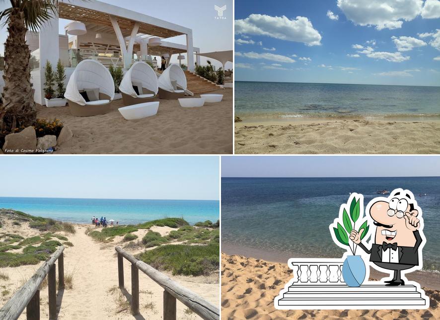 Tayga Beach, Campomarino - Menu e recensioni del ristorante