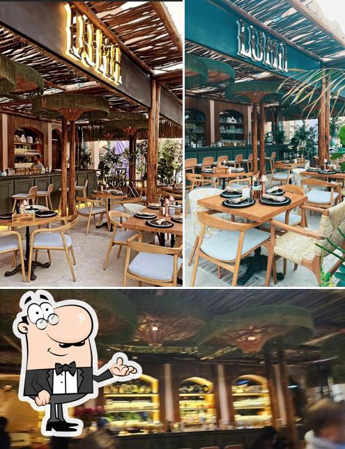 LUMA, El Gouna - Restaurant menu, prices and reviews