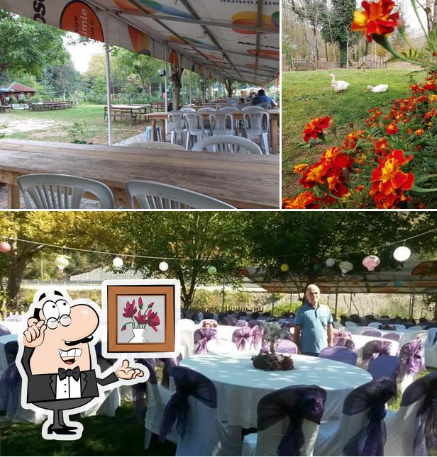 Devrek Canli Alabalık Kır Lokantası, Turkey - Restaurant reviews