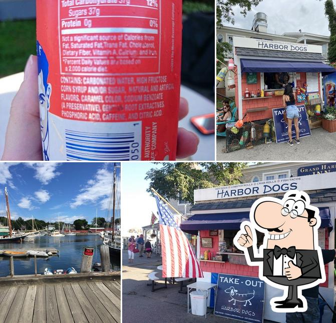 Harbor Dogs, 1 public landing in Camden - Restaurant menu and reviews