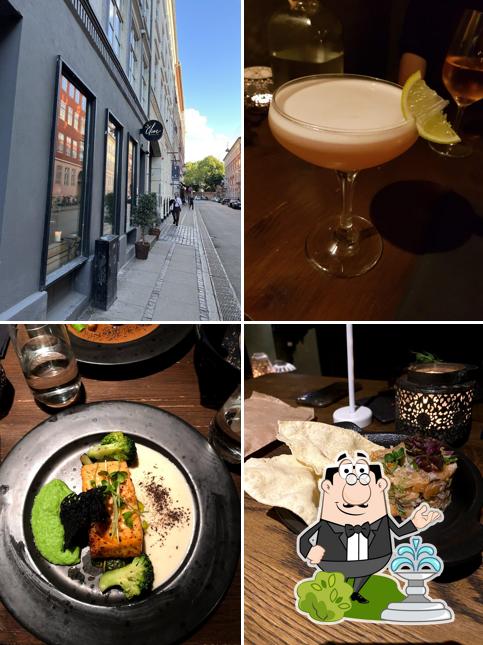 The Olive Kitchen & Bar, Copenhagen - Restaurant menu, prices and reviews