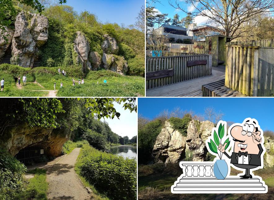 Café Creswell Crags, Worksop - Opiniones del restaurante