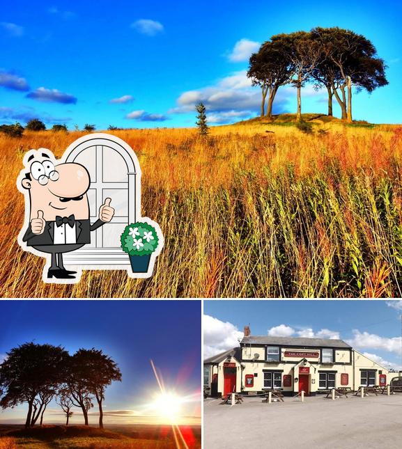 The Copt Hill Country Inn, Houghton le Spring - Restaurant menu, prices ...