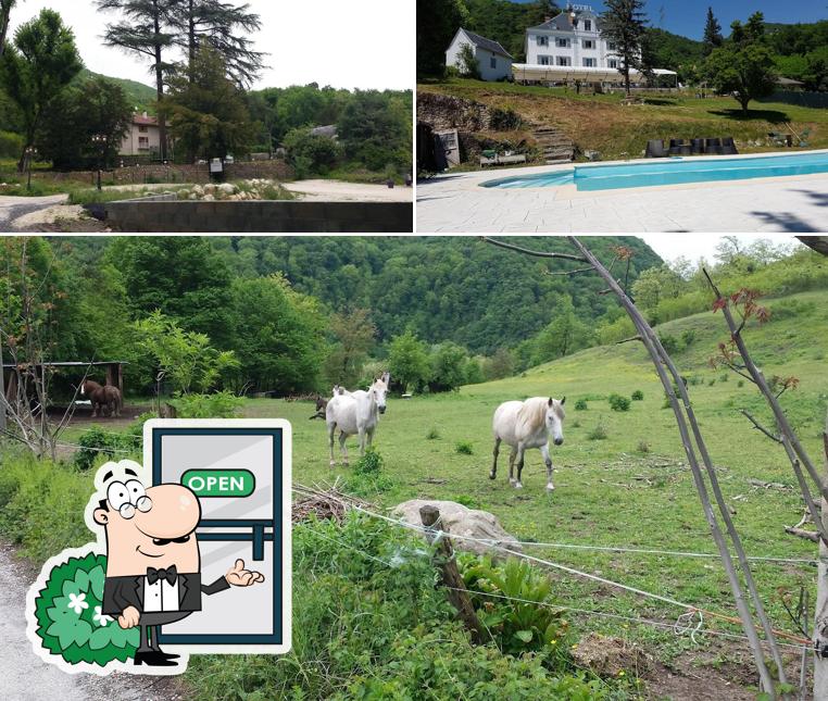 Le Repère, Vizille - Menu du restaurant, prix et avis