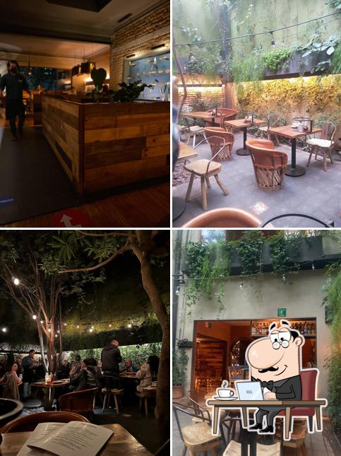 Cancino Nápoles, Mexico City - Restaurant menu, prices and reviews
