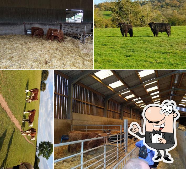 Lizzie’s Farm, Bromsgrove - Restaurant menu, prices and reviews