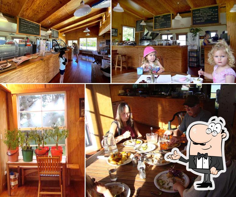 The Nugget Cafe in Nelson - Restaurant reviews