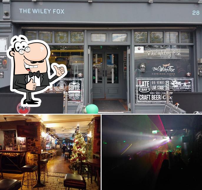 The Wiley Fox in Dublin - Restaurant reviews