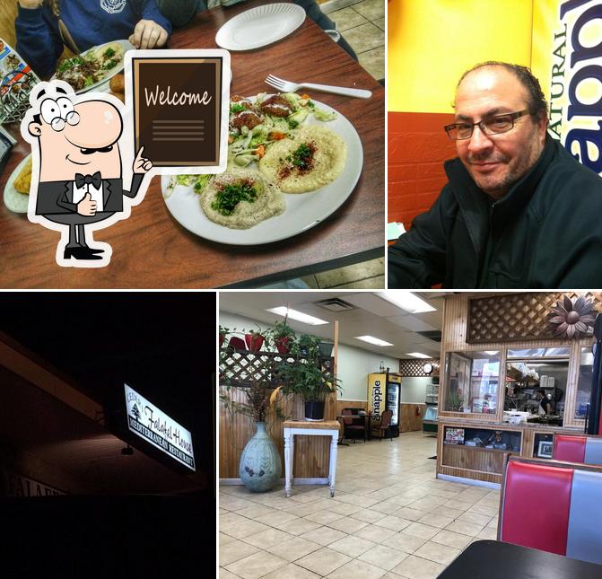Cedar Falafel House in West Haven - Restaurant menu and reviews