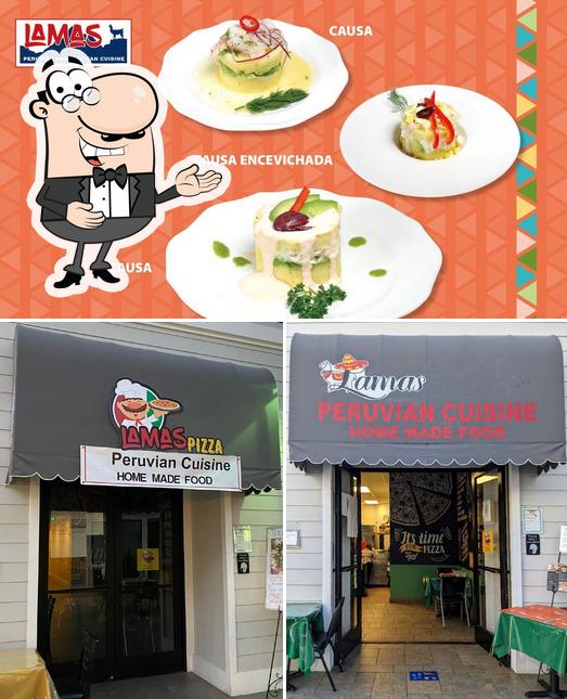 Lamas Peruvian and Mexican Cuisine in Half Moon Bay - Restaurant menu ...