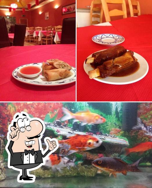 Eastern Promise Arklow in Arklow - Restaurant menu and reviews