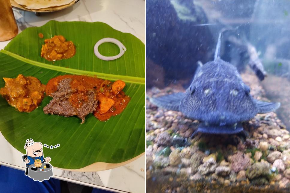 Kritunga Restaurant Biodiversity, Hyderabad - Restaurant menu, prices ...