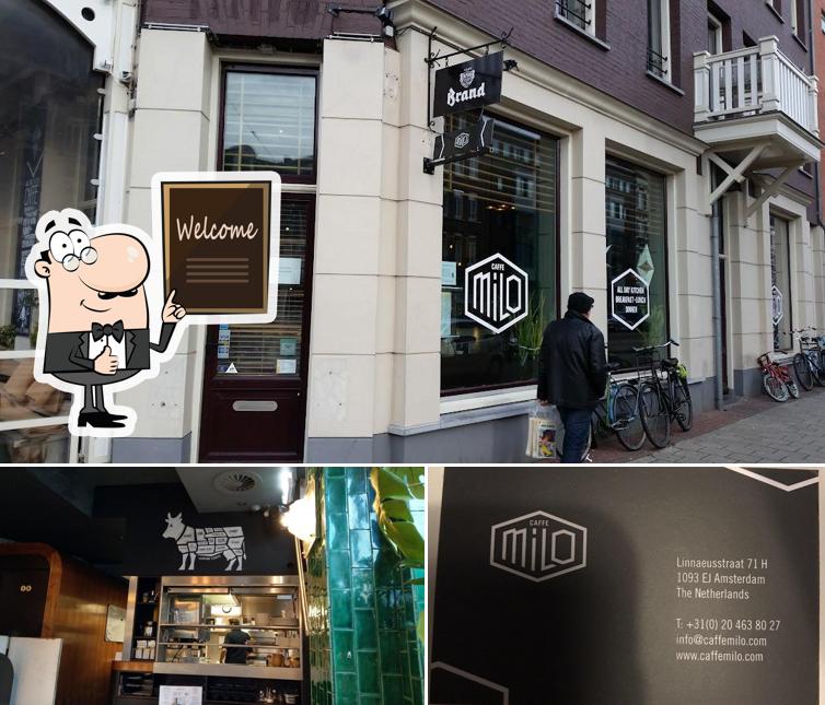 Caffe Milo, Amsterdam - Restaurant reviews
