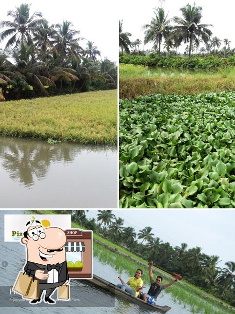 Pizhala Pokkali Tourism Farm, Ernakulam - Restaurant reviews