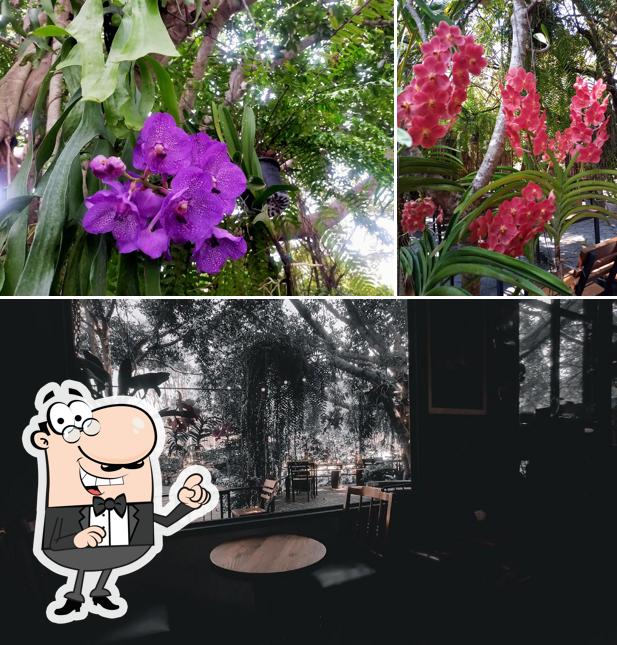 Yody Coffee & Family Specialty Coffee Maerim cafe, Rim Tai - Restaurant ...