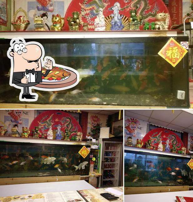Double Dragon, 5 Gilbert Rd in Belvedere - Restaurant menu and reviews