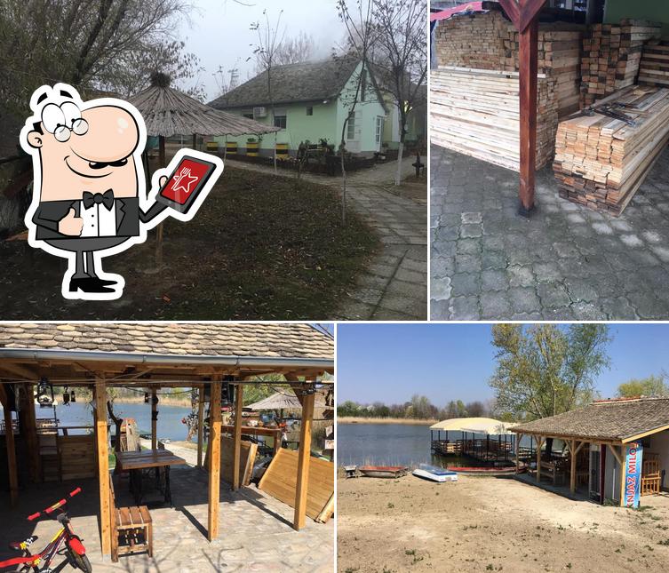 Riblja Čarda Tiha Tisa cafe, Čurug - Restaurant reviews