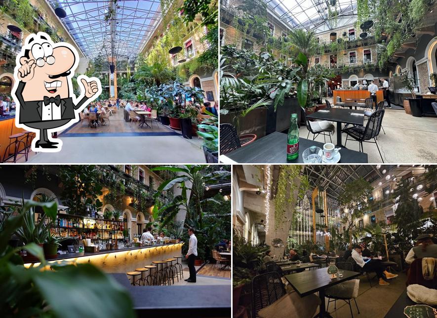 Twentysix Budapest, Budapest - Restaurant menu, prices and reviews