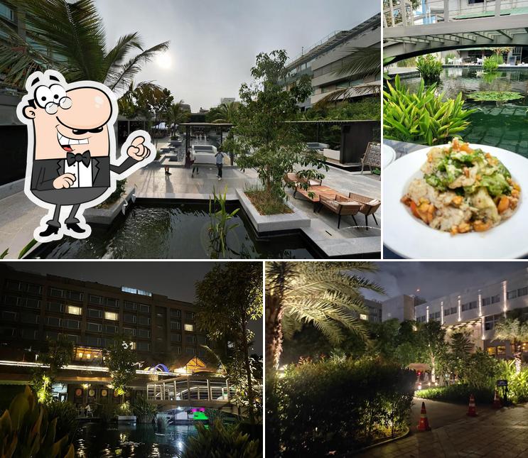 Ironhill Bengaluru, Bengaluru - Restaurant menu, prices and reviews