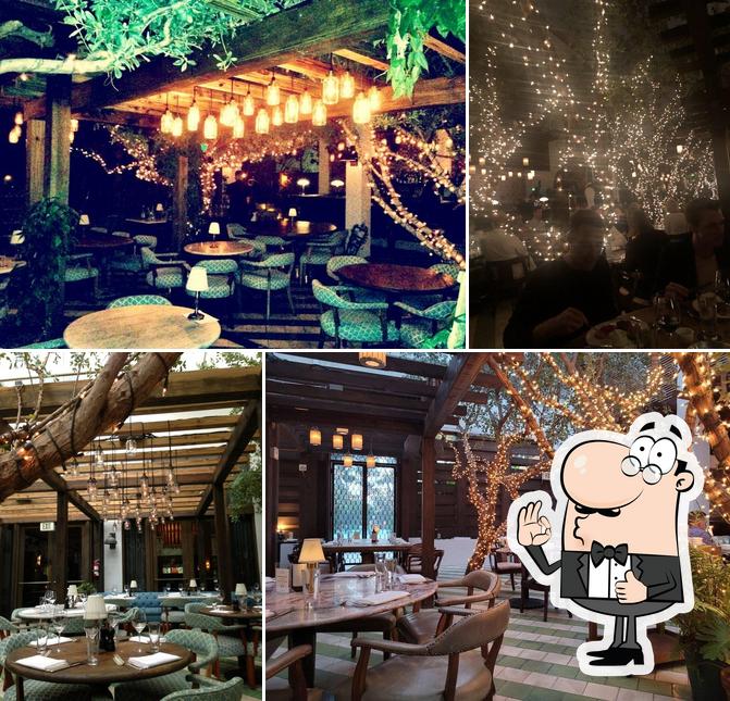 Cecconi's Miami in Miami Beach - Restaurant reviews
