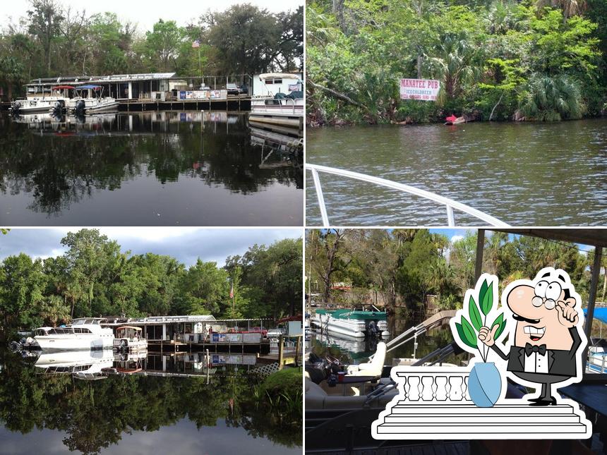 Manatee Pub, 10175 W Fishbowl Dr in Homosassa - Restaurant reviews