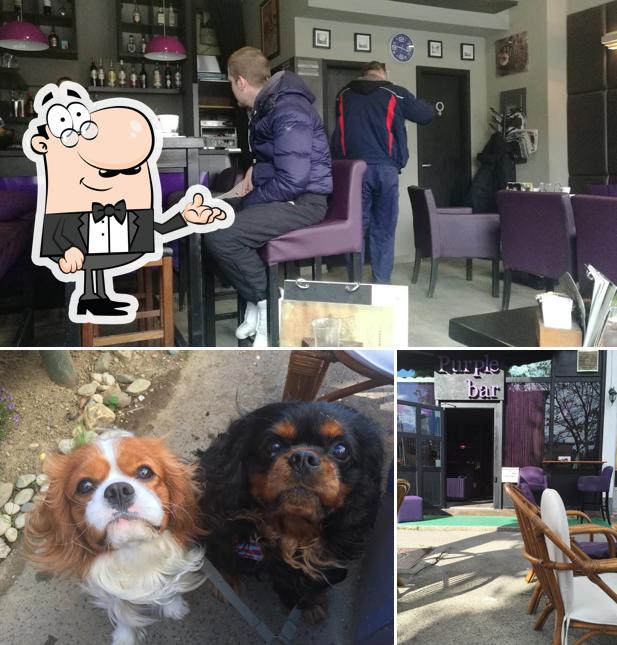 Purple bar, Zagreb - Restaurant menu, prices and reviews