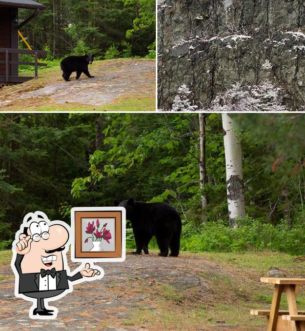 Temagami Shores Inn, Temagami - Restaurant menu, prices and reviews