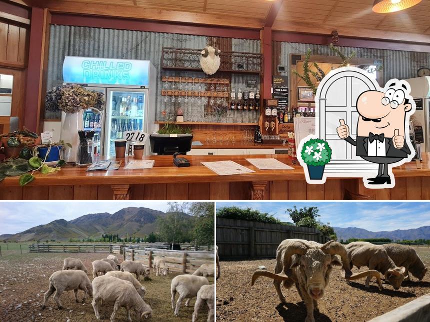The Wrinkly Rams, Omarama - Restaurant menu, prices and reviews