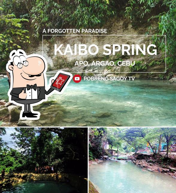 Kaibo Spring cafe, Argao - Restaurant reviews