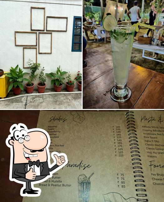 Casa Boho, Indore - Restaurant reviews