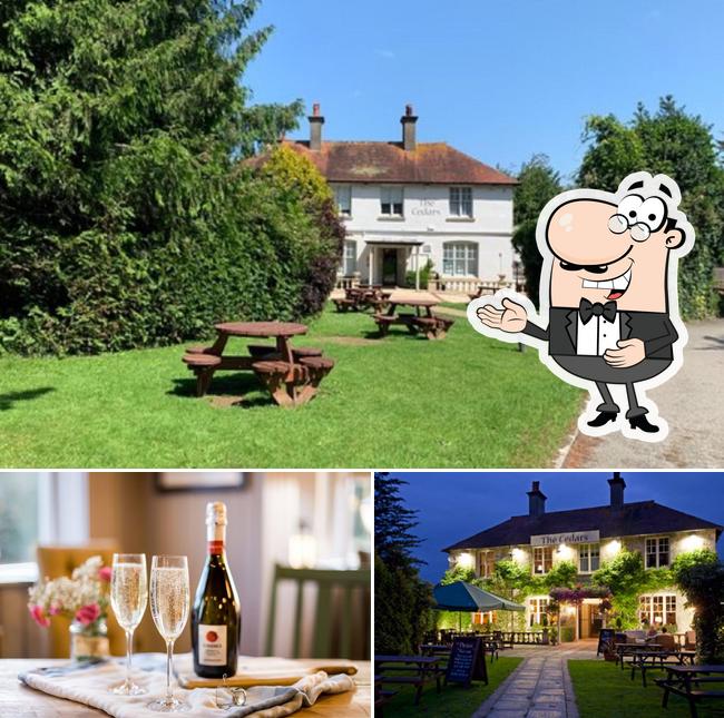 Cedars Inn, Barnstaple - Restaurant menu, prices and reviews