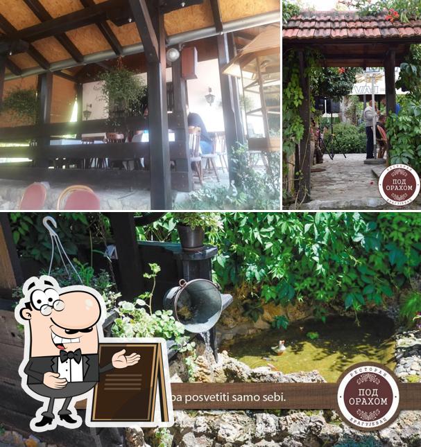 "Под орахом", Kragujevac - Restaurant menu, prices and reviews