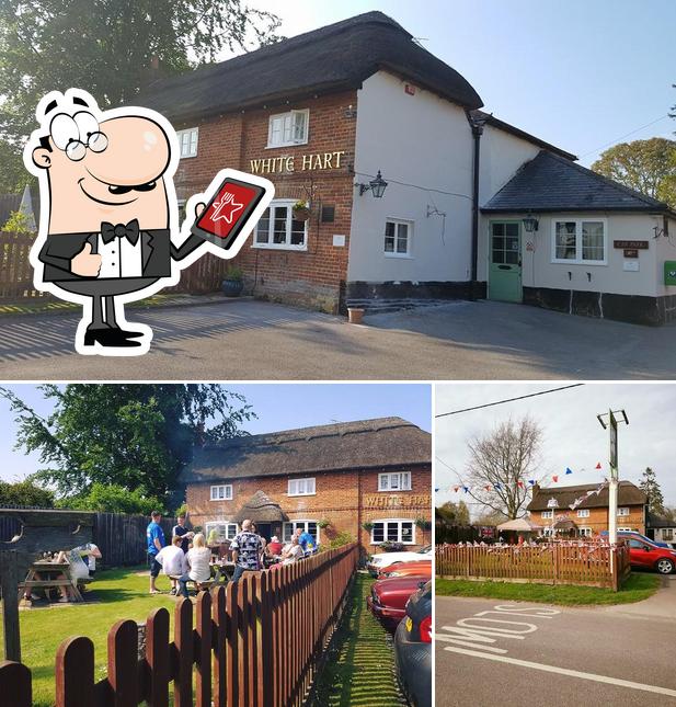 The White Hart, Over Wallop - Restaurant menu, prices and reviews