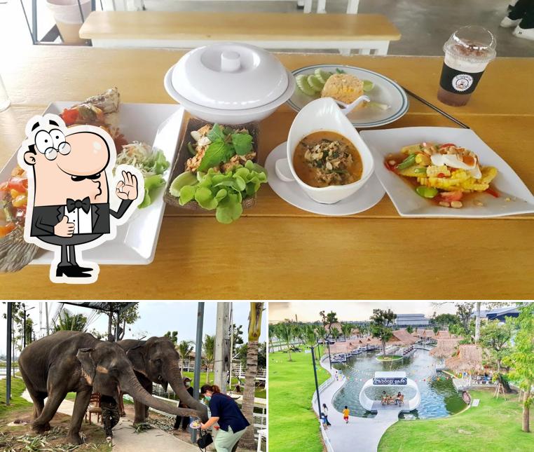 Pa Boon Café cafe, Pattaya City - Restaurant reviews