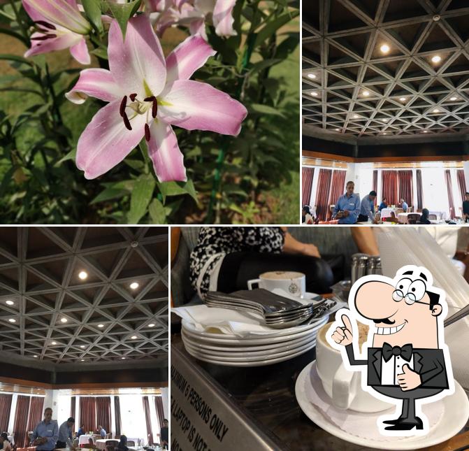 IIC Main Dining Hall, New Delhi, I I C 40 - Restaurant reviews