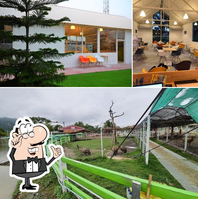 Children Cafe and Playground, Bangkok - Restaurant reviews