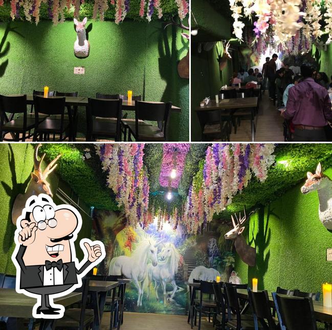 Junglee Taapu Cafe, Delhi, 383 - Restaurant reviews